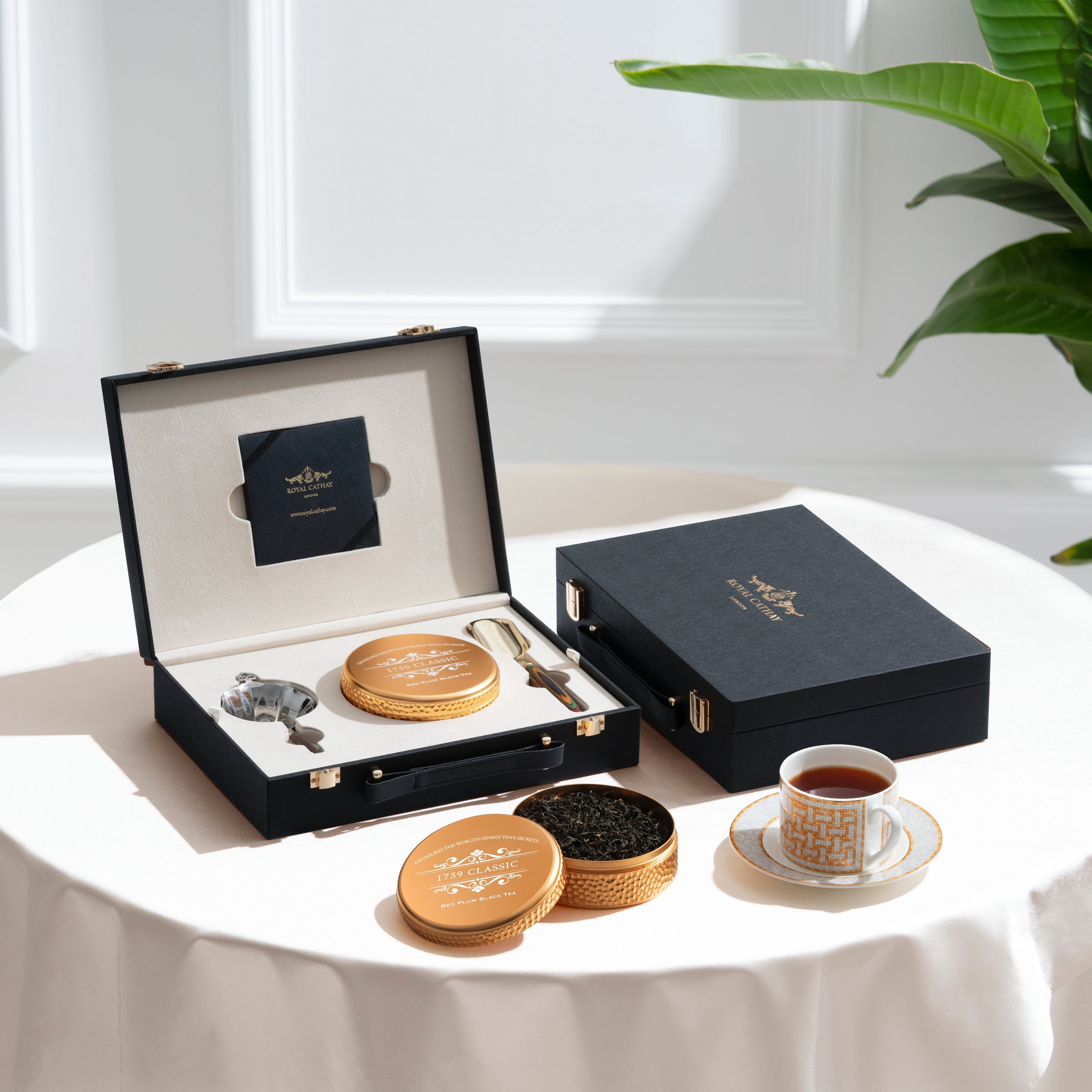 Fusion Series Exploration Set – Royal Cathay Tea